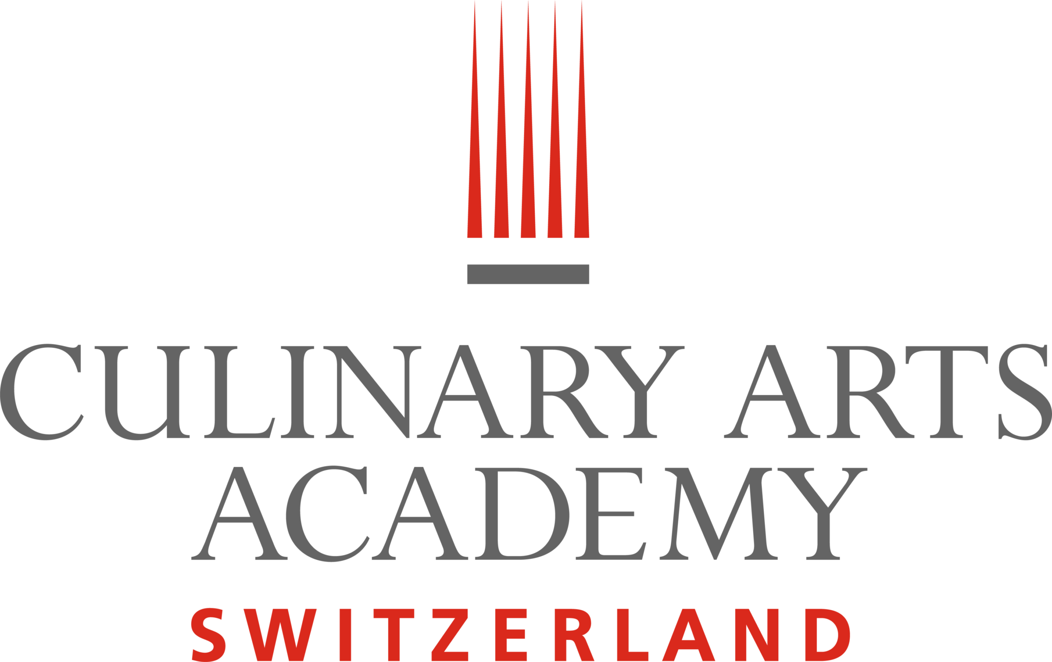 Culinary Summer Program in Le Bouveret - Culinary Education Experts